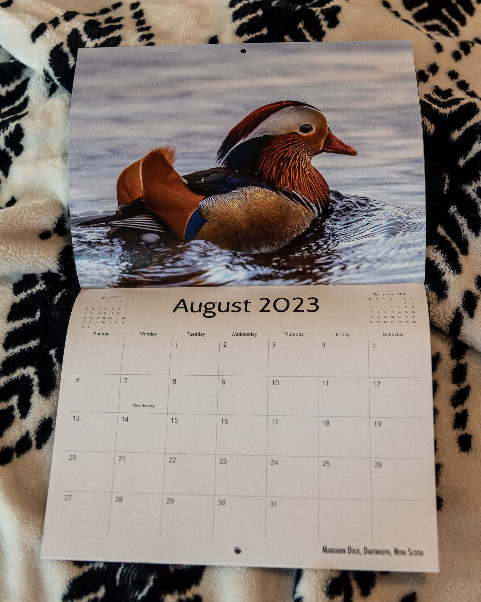 2023 Monthly Wall Calendar 8.5x11” Featuring Nova Scotian Landscape and ...