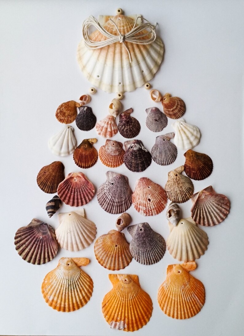 DIY Seashell Wind Chime Craft Kit seashells with natural and | Etsy