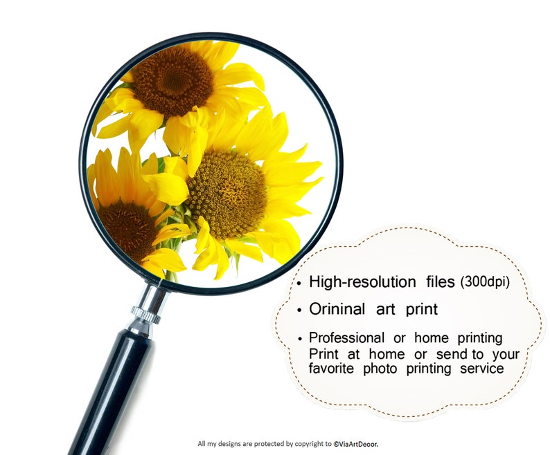 Sunflower Prints Printable Poster Floral Wall Art Modern Art - Etsy