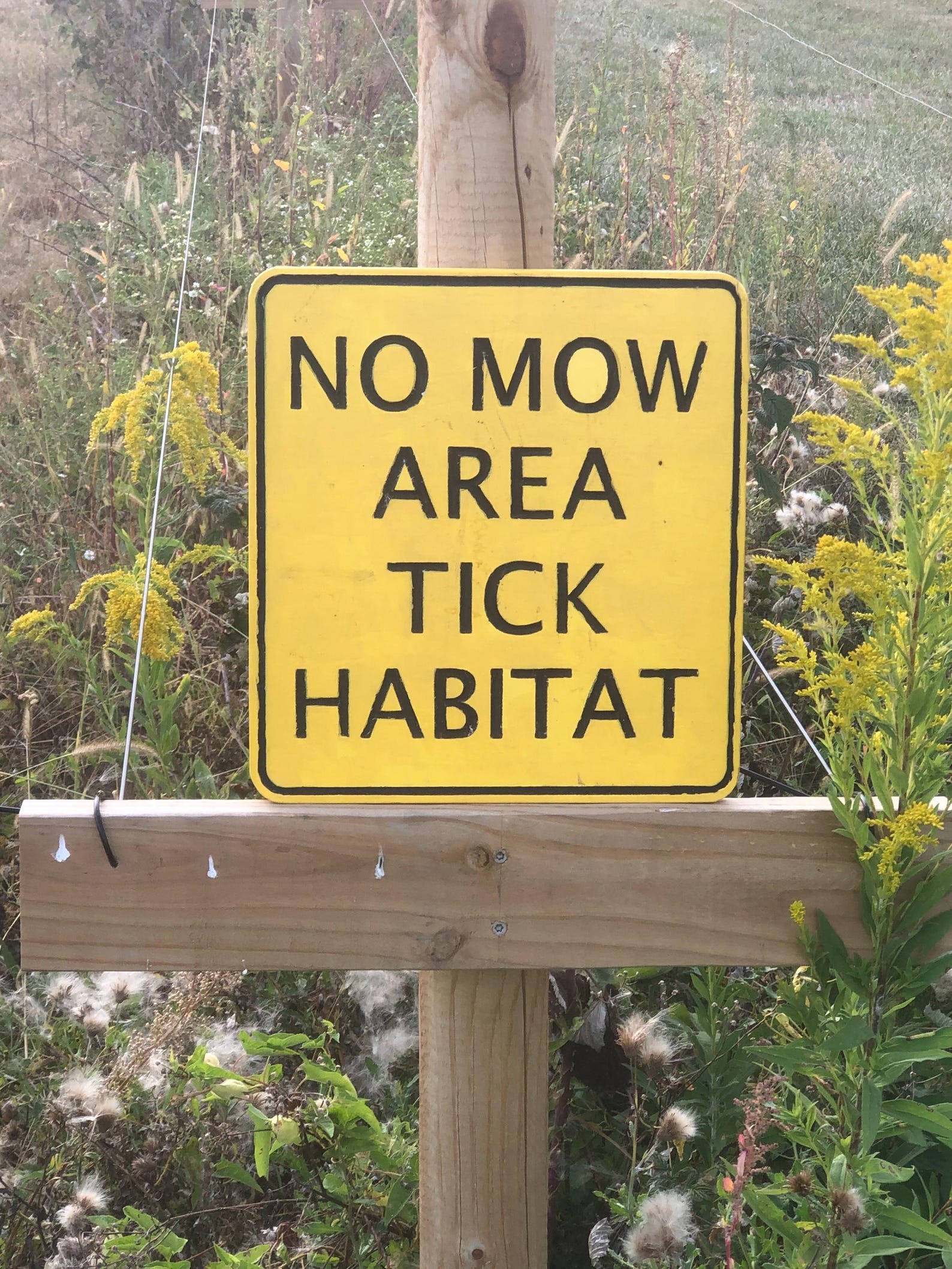 Funny Sign Tick Habitat | Humor | Signs | Indoor | Outdoor | Custom - Etsy