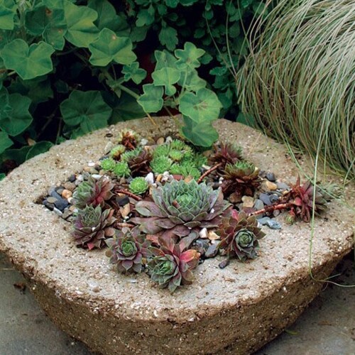 Ready-to-go Hypertufa Cement Mix Make Your Own Hypertufa - Etsy