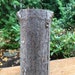 Glow in the Dark Mushroom Panellus Stipticus Bioluminescent Habitat Log ...