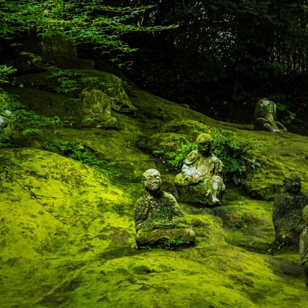 Hypertufa Sculpture - Etsy
