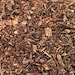 Natural Forest Mulch/humus organic Additive for Soils and - Etsy