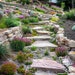 Custom Alpine Garden Design - Detailed Plant List & Support - Designed ...