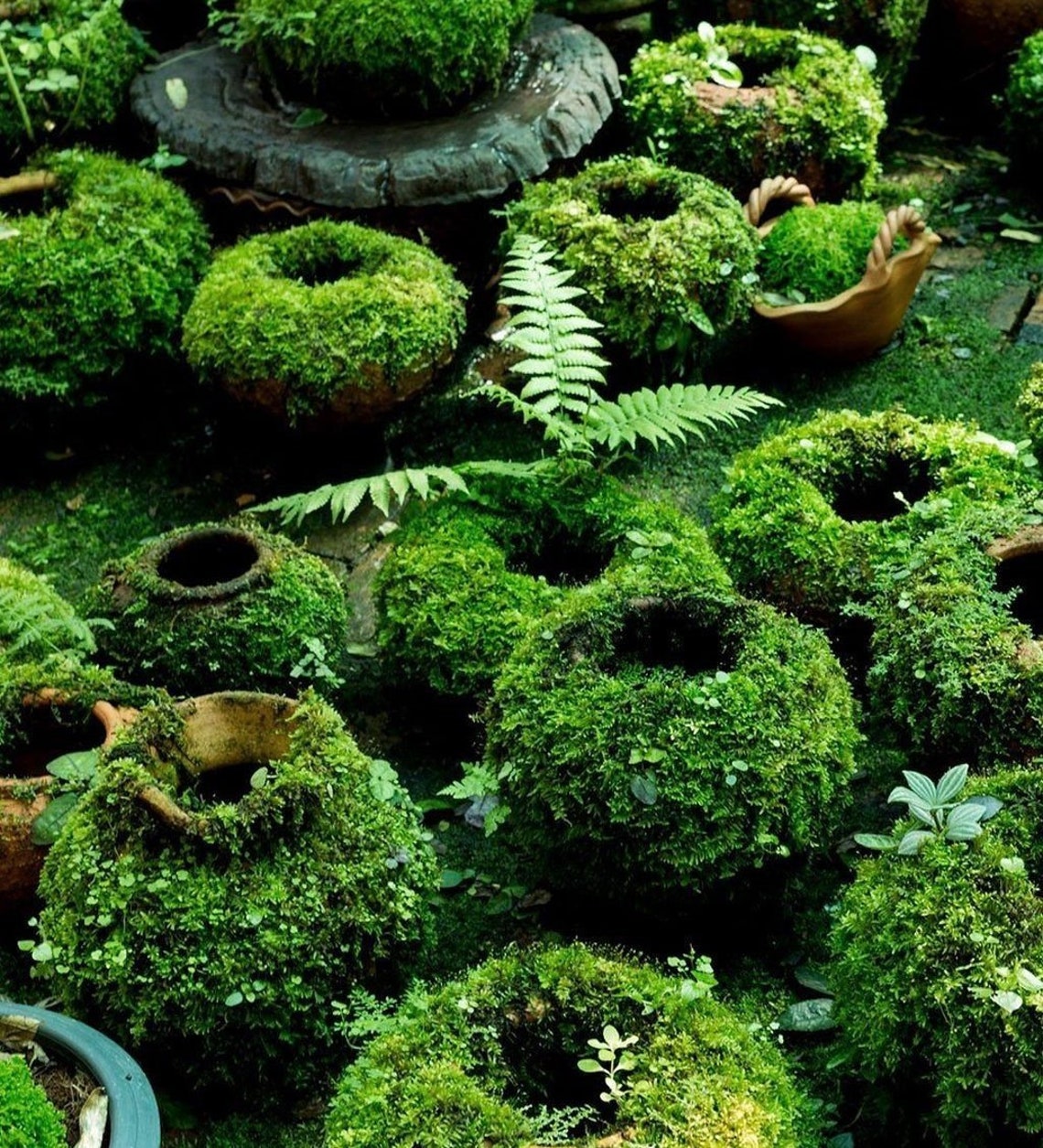 Ready-to-go Hypertufa Cement Mix Make Your Own Hypertufa - Etsy