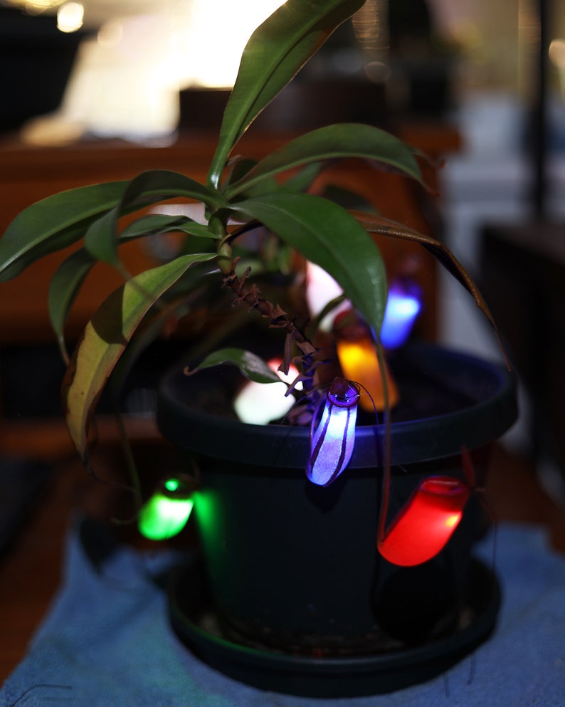 PDF Guide - How to Make Realistic Glowing Plants! (using REAL Plants ...