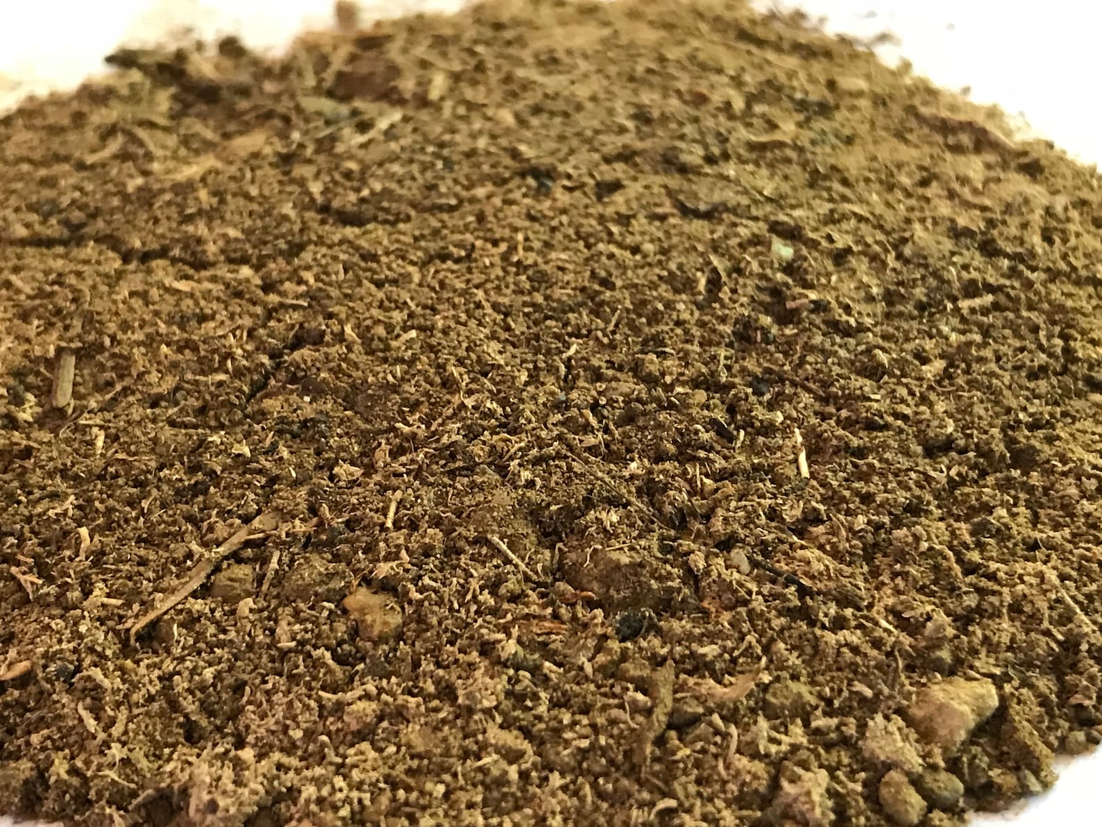 Premium Soil for Growing Moss Moss Gardens & Terrariums | Etsy