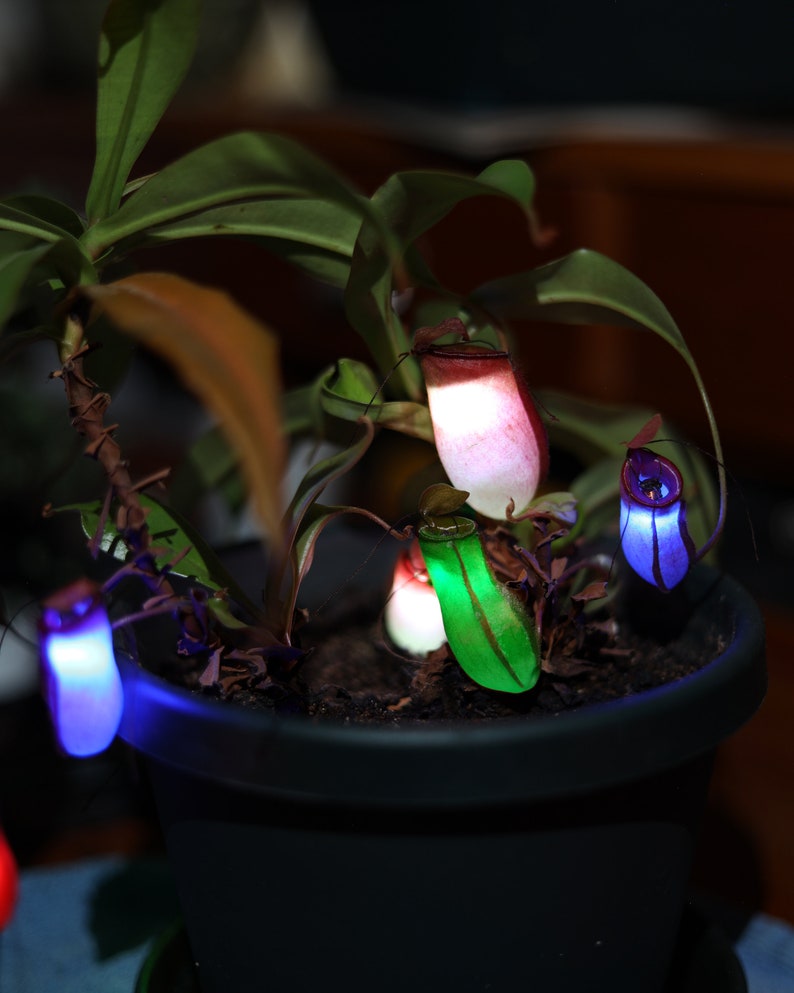 PDF Guide - How to Make Realistic Glowing Plants! (using REAL Plants ...