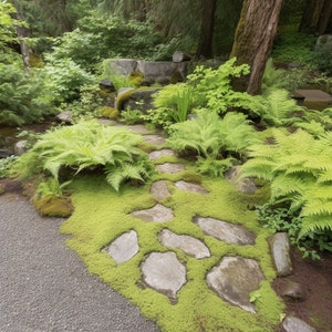 Custom Garden Design Detailed Plant List & Support Designed for YOUR ...