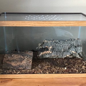 Shredded Rotten Wood (flake Soil) Beetle, Millipede, Isopod Substrate ...