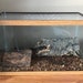Shredded Rotten Wood (flake Soil) Beetle, Millipede, Isopod Substrate ...