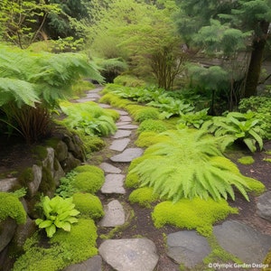 Custom Alpine Garden Design - Detailed Plant List & Support - Designed ...