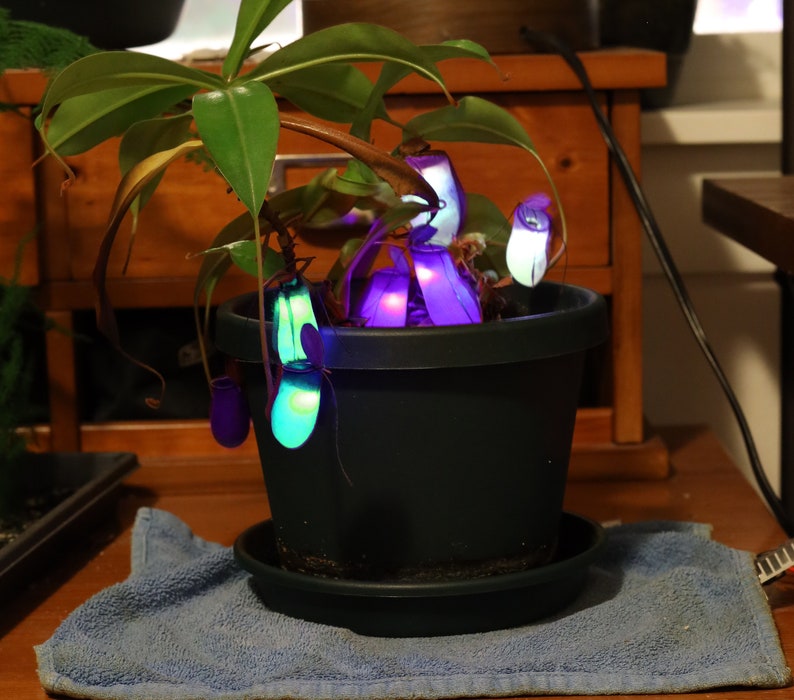 PDF Guide How to Make Realistic Glowing Plants using REAL - Etsy