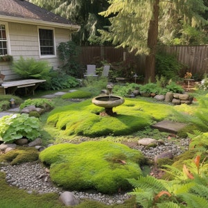 Custom Garden Design Detailed Plant List & Support Designed for YOUR ...