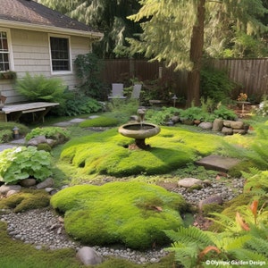 Custom Alpine Garden Design - Detailed Plant List & Support - Designed ...