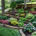 Professional Low-maintenance Garden Design Optimized for Small Yards ...