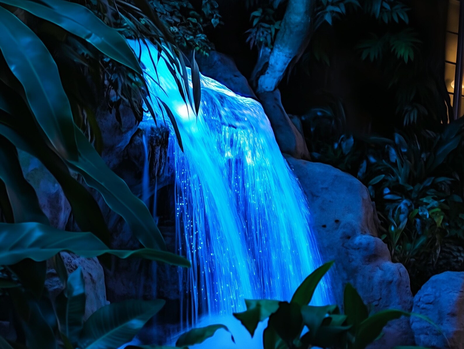 Professional Garden/outdoor Lighting Consultation - Etsy
