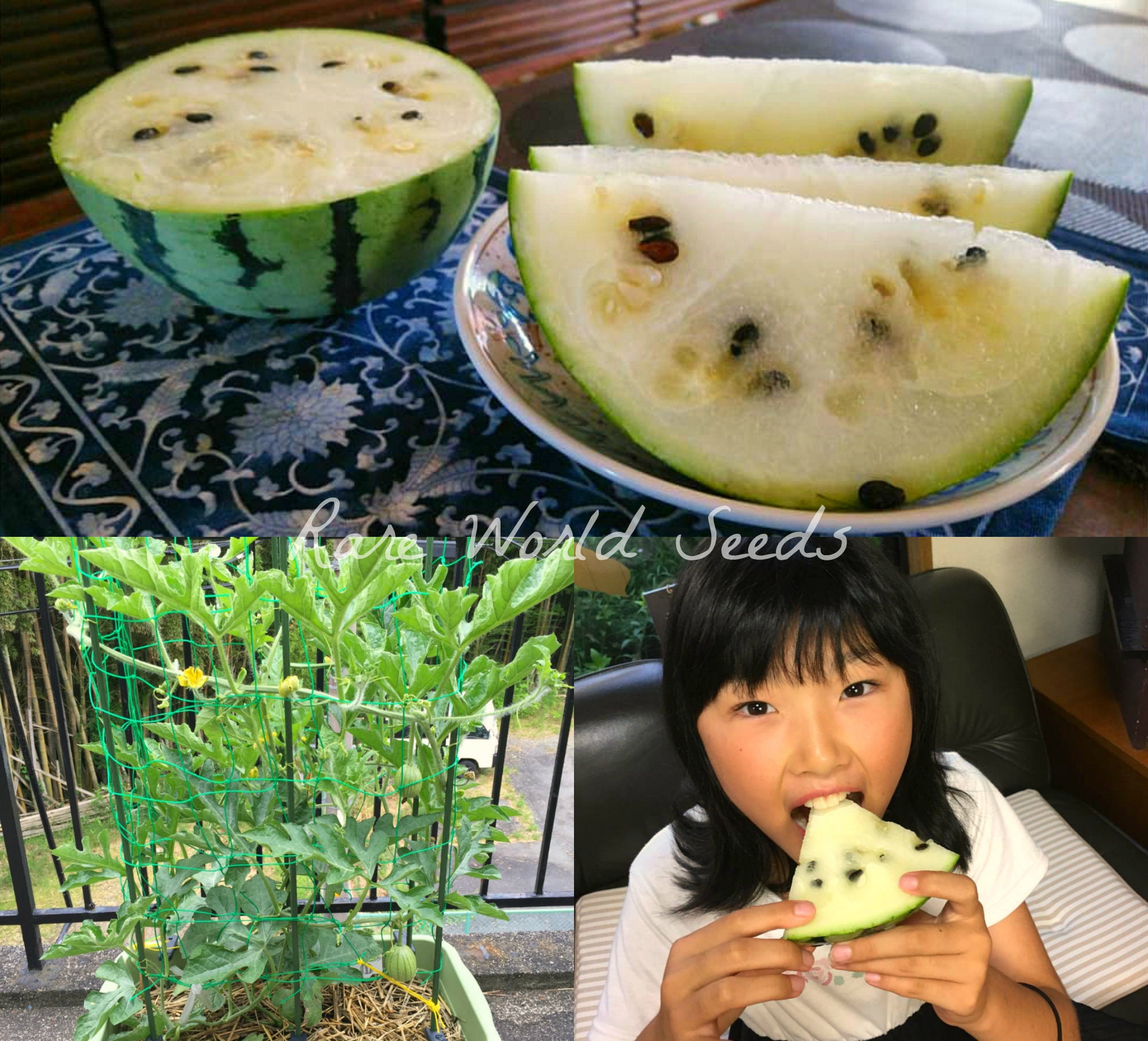 An Outstanding Japanese Watermelon Variety yamato Cream Buttercream ...