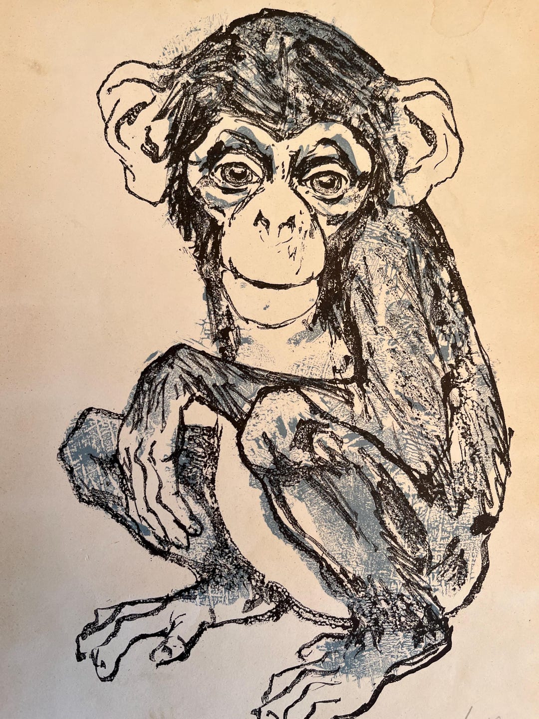 HUG, FRITZ - Chimpanzee Litho Original Signed - Etsy