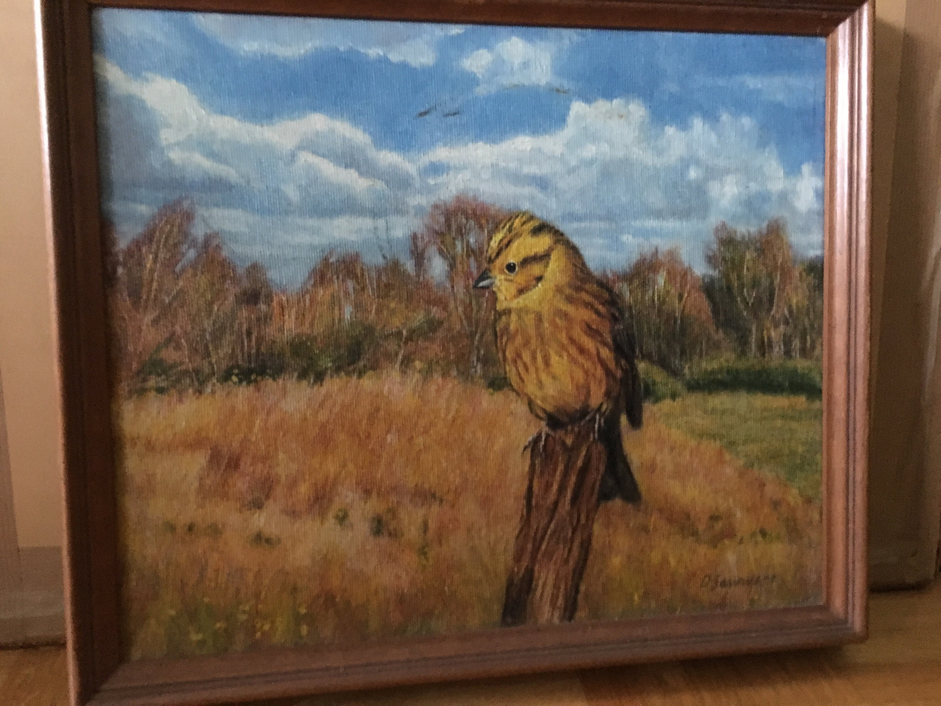 David Saunders Oil on Board CATBIRD - Etsy