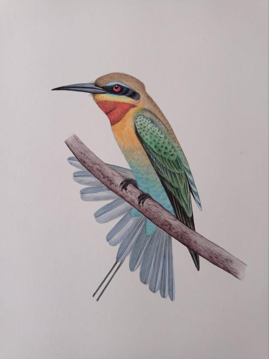 Krishan Kumar Gupta - Freelance Artist - Beautiful Singer Bird Painting With Very Affordable ...