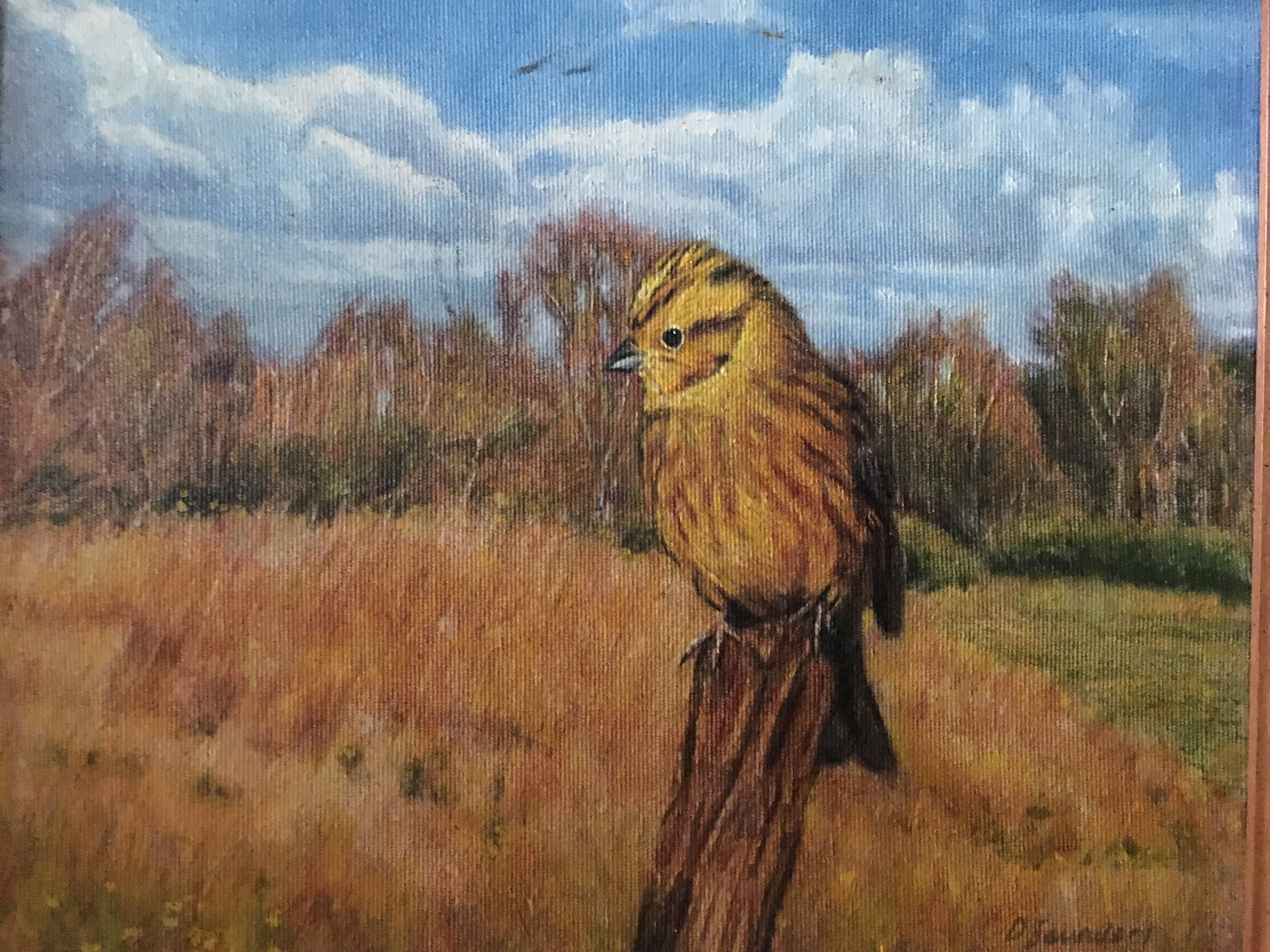 David Saunders Oil on Board CATBIRD - Etsy