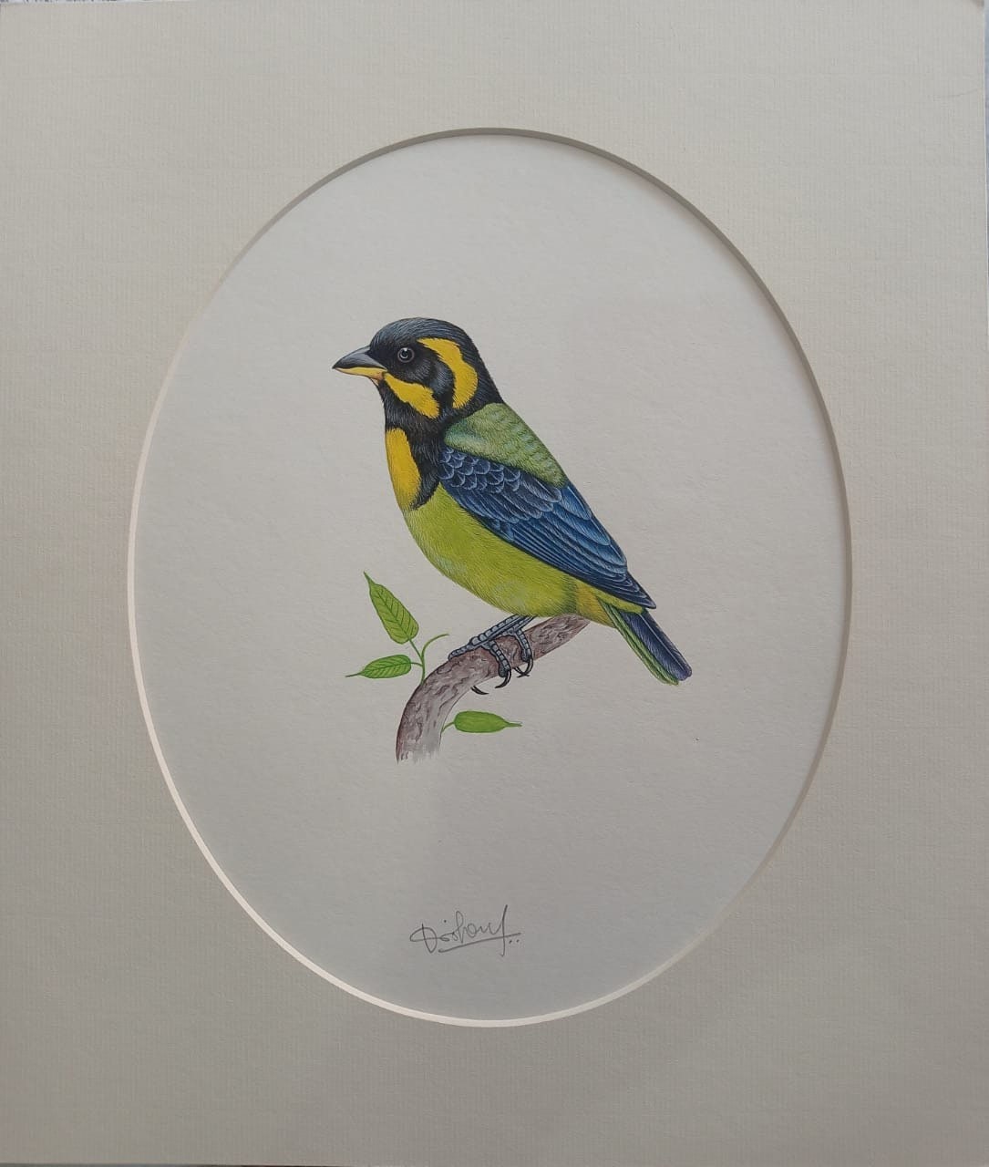 Krishan Kumar Gupta - Freelance Artist - Beautiful Singer Bird Painting With Very Affordable ...