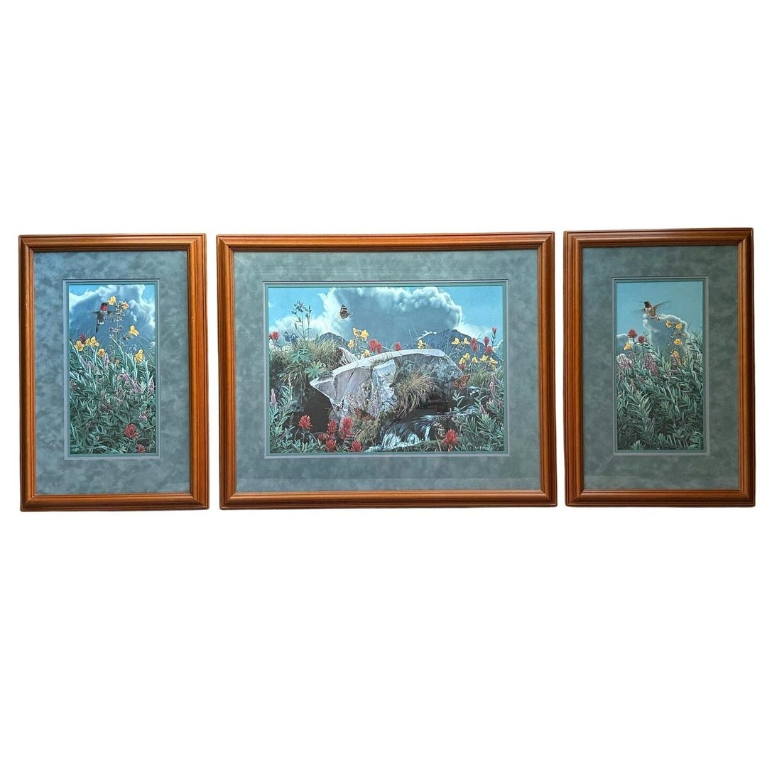 Rod Frederick “summer’s Song” Signed 3-piece Framed Hummingbird ...