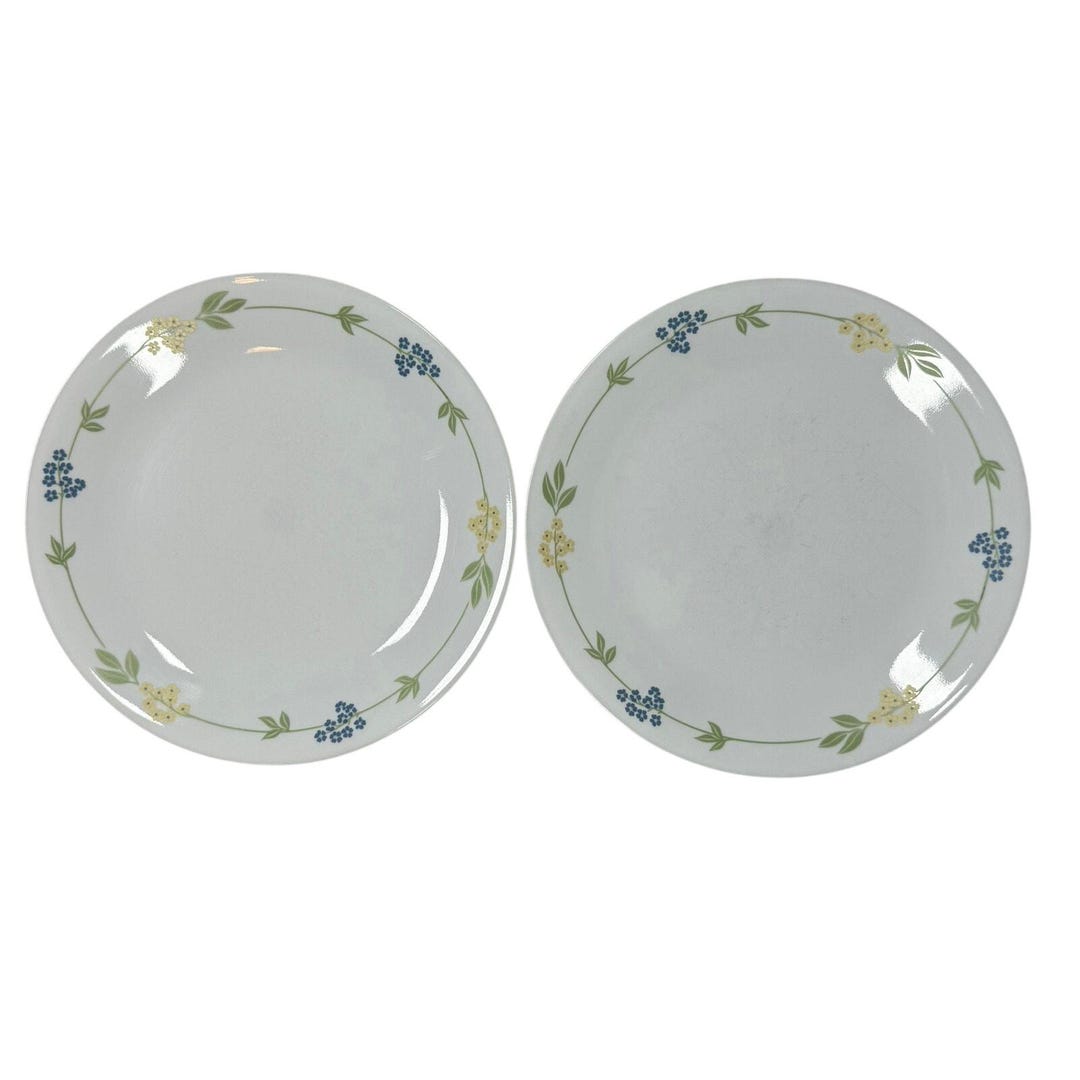 Corelle Secret Garden Dinner Plates Set of 2 10 1/4" White Made in USA ...