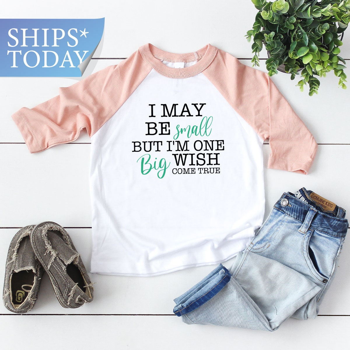 I May Be Small but I'm One Big Wish Come True Baby | Etsy