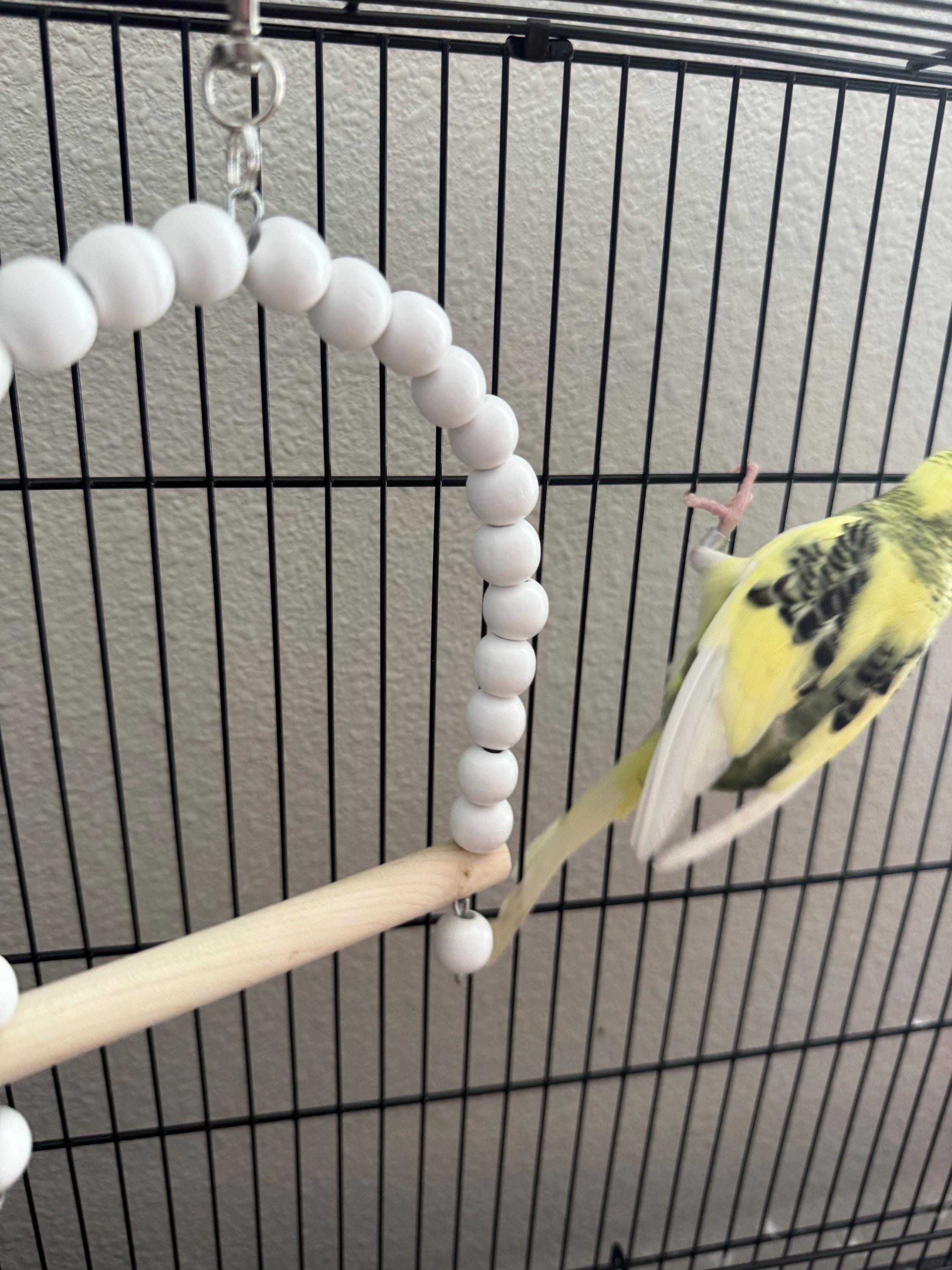 Small Bird Swing | Handmade | You Pick Color | 7.5” Tall - Etsy
