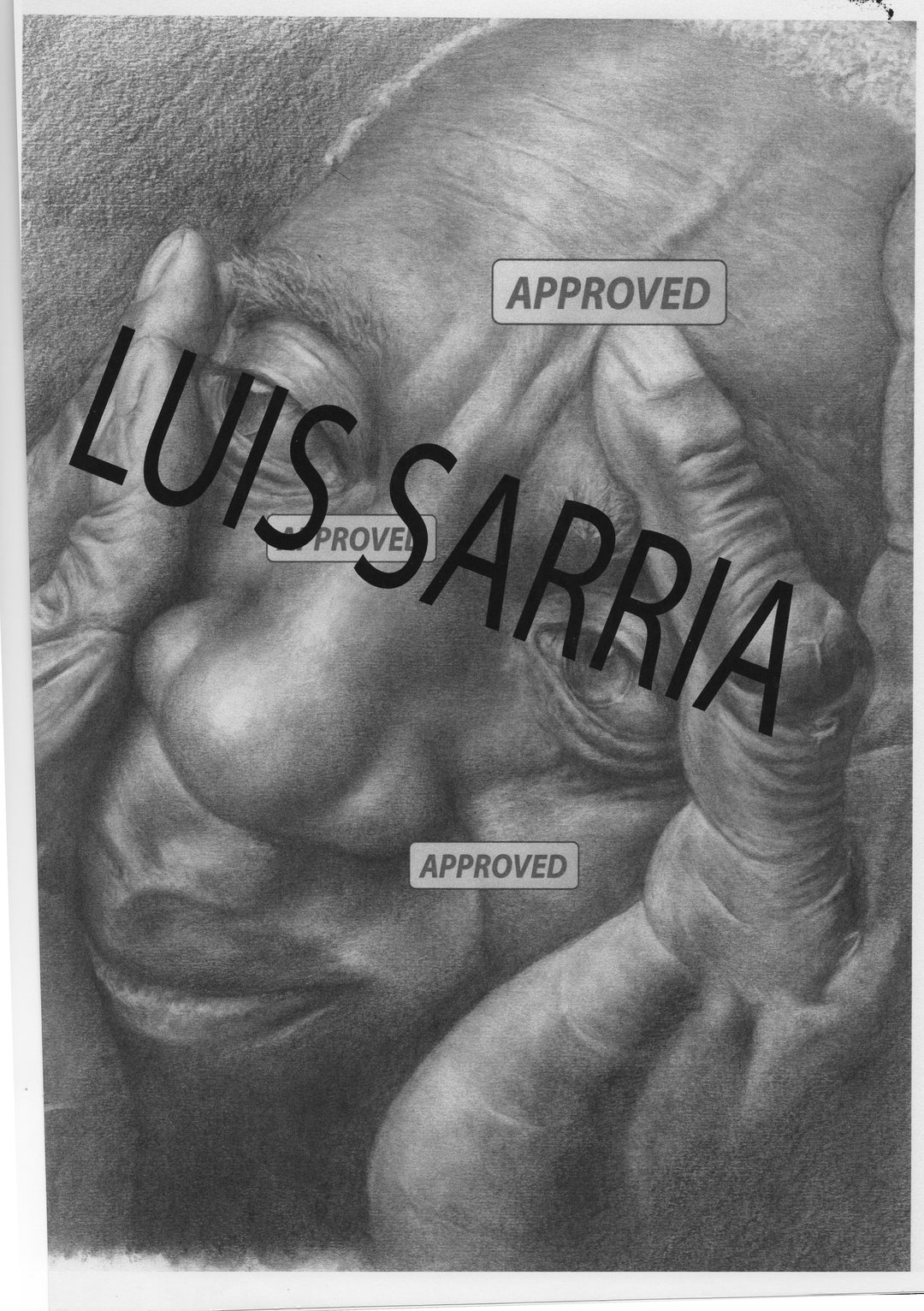 Luis Sarria Bixing Trainer to Muhammad Ali Limited Adition Sket - Etsy