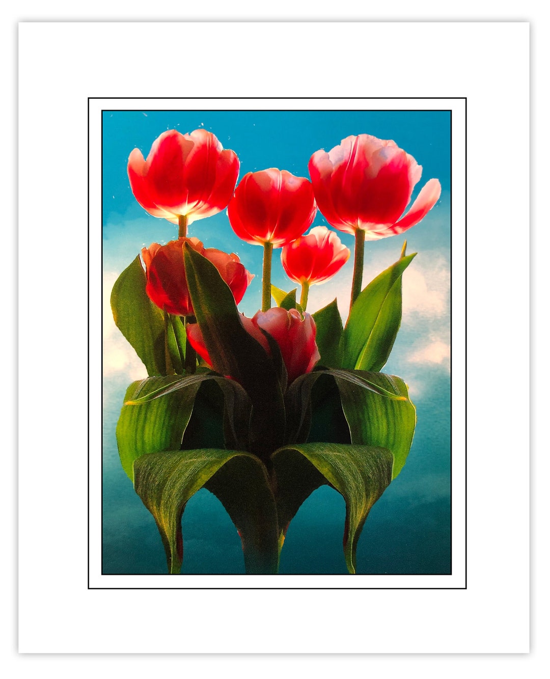 Tulips Art Print: Parkinson's Awareness Symbol, Hope for a Cure - Etsy