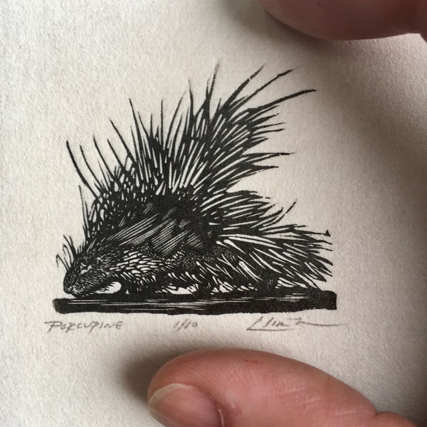 Porcupine Art - Etsy