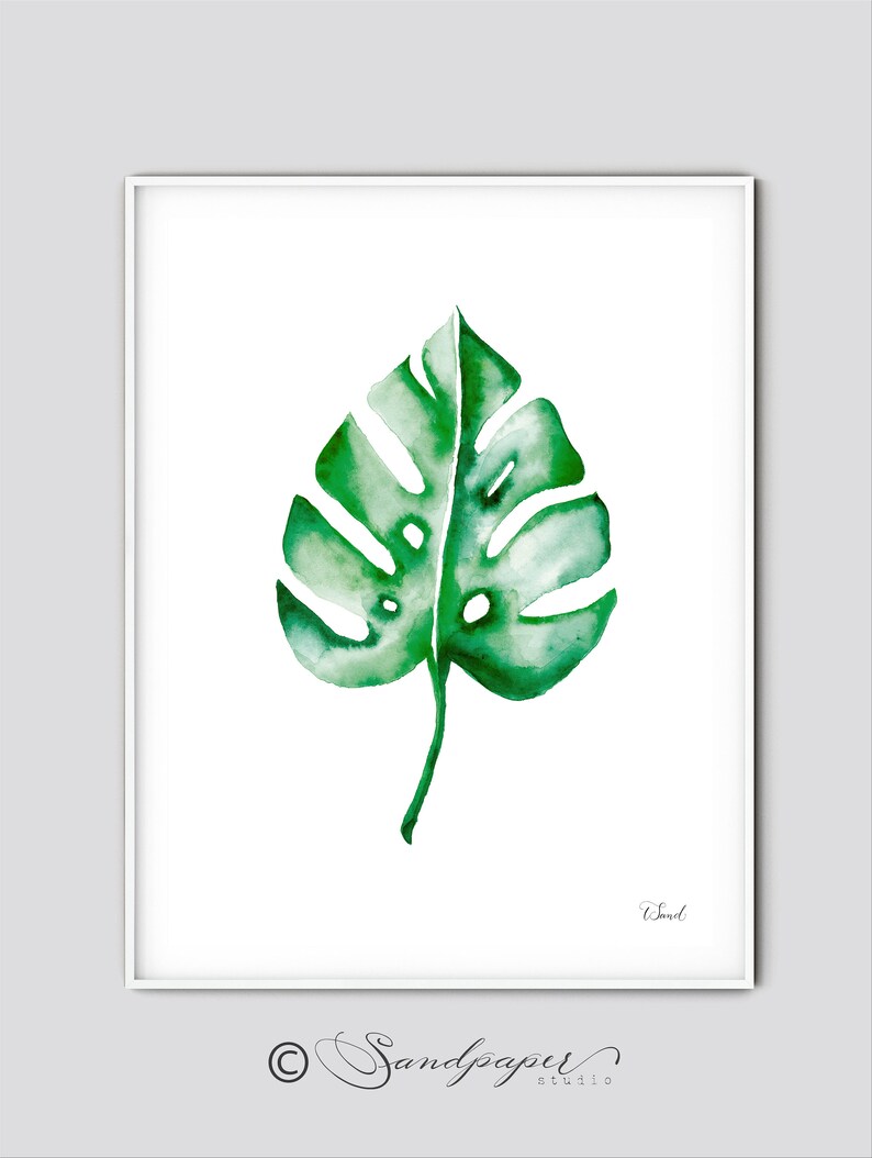 Monstera Plant Art Watercolor Painting Monstera Leaf Wall - Etsy