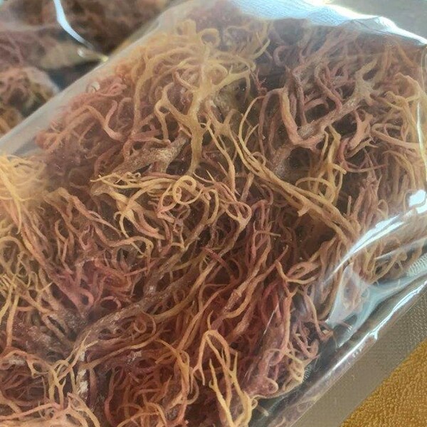 Wild Sea Moss - Etsy