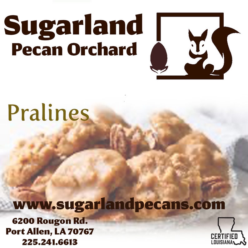 12 Count Creamy Pralines in a Festive Holiday Box. Individually Wrapped ...