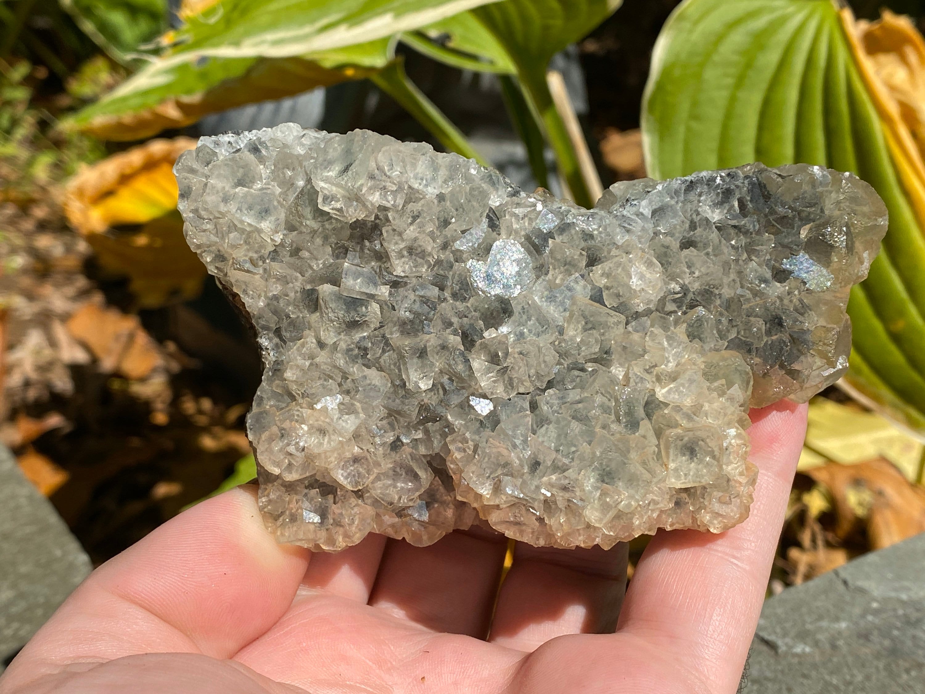 Clear Fluorite Rock