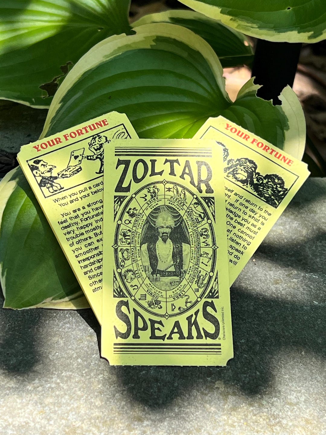 55 Zoltar Fortune Cards: Official Zoltar Speaks Paper Fortunes - Etsy
