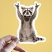 Funny Raccoon Sticker, Positive Wild Animal Sticker, Cool Rock N Roll ...