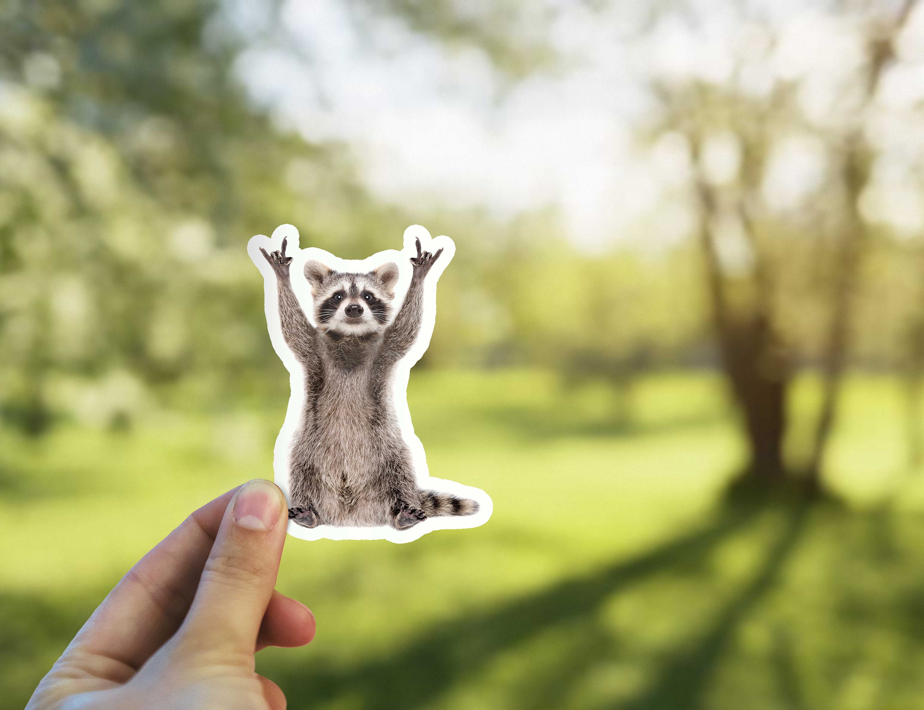 Funny Raccoon Sticker Positive Wild Animal Sticker Cool Rock - Etsy