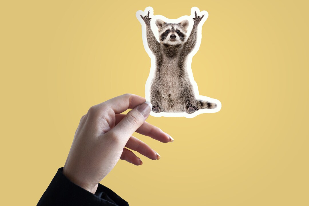 Funny Raccoon Sticker, Positive Wild Animal Sticker, Cool Rock N Roll ...