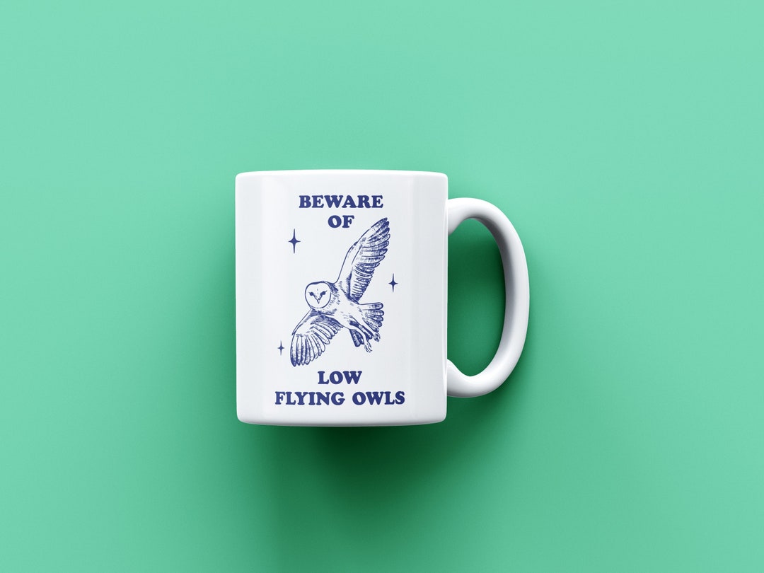 Beware of Low Flying Owls, Funny Saying Mug, Hilarious Meme Cup ...