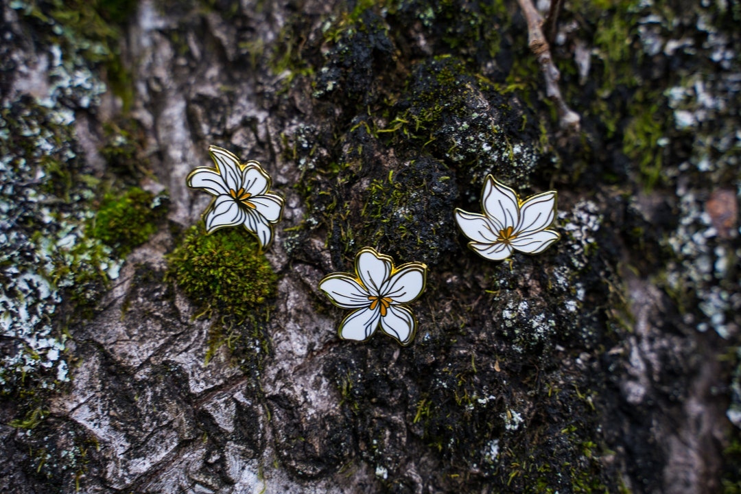 Pin de esmalte Simbelmyne joyas lotr eowyn eomer Theoden pin del señor ...