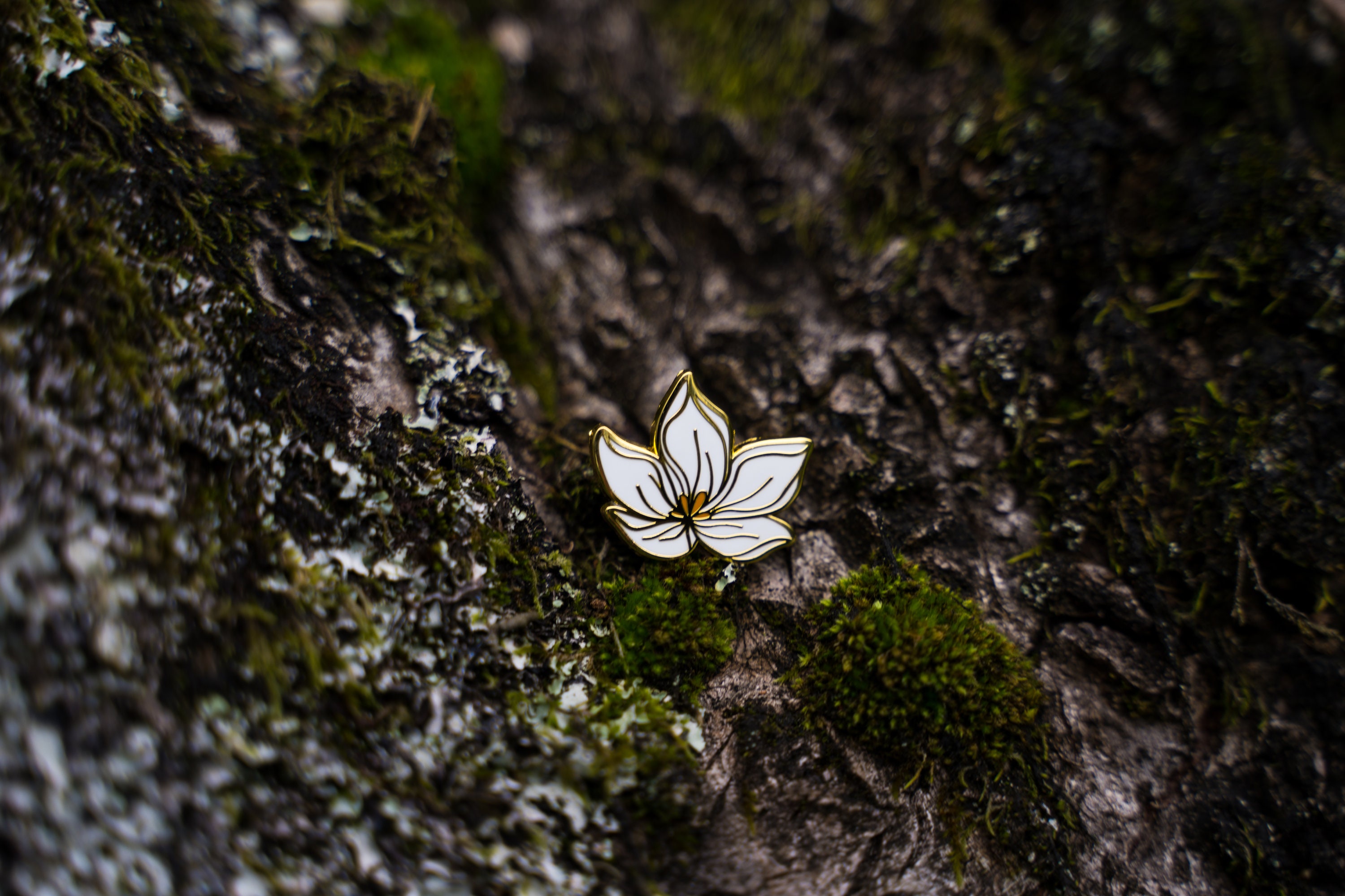 Simbelmyne Enamel Pin - Lotr Jewelery - Eowyn - Eomer - Theoden - Lord ...