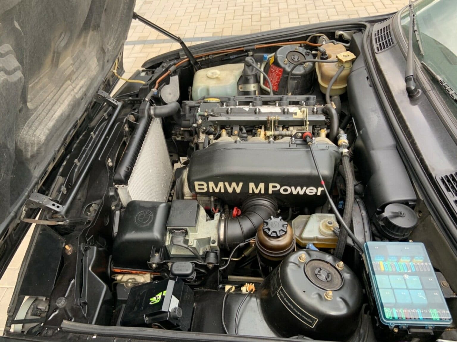 1x Paint Sticker BMW E30/E24/E31/E23/E28/E32/E36/M3/M5/M6 - Etsy