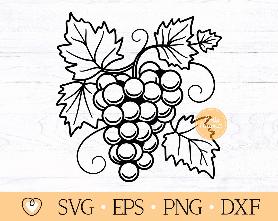 Grape Svg, Grape Bunch Svg, Grape Vine Svg - Etsy