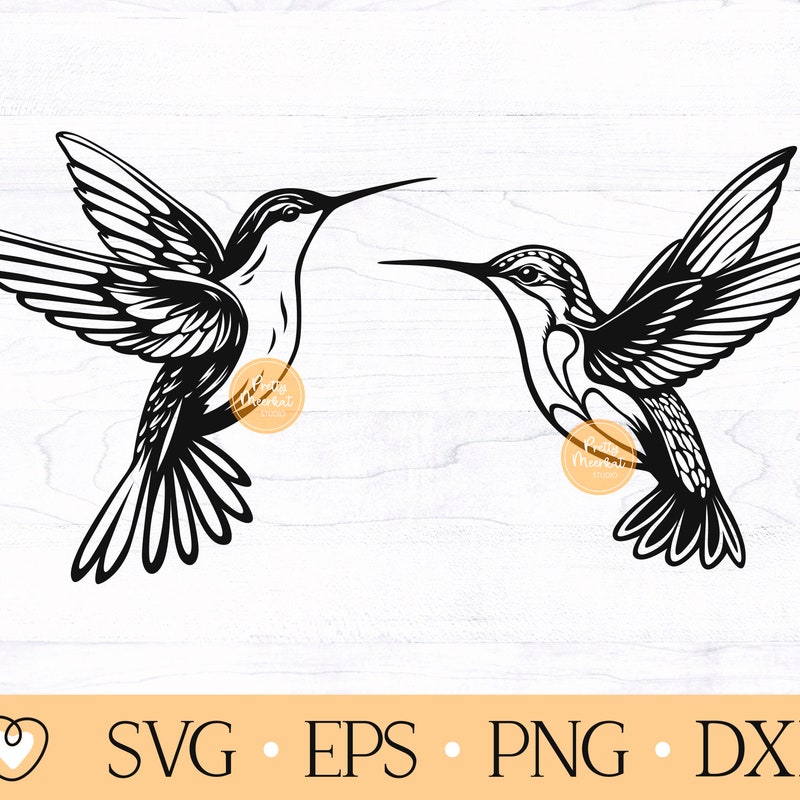 Hummingbird Svg - Etsy