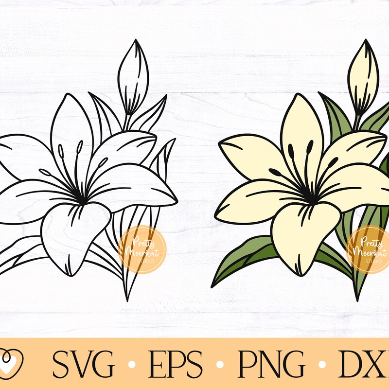 Lily Svg - Etsy